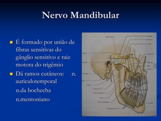 Anatomia Cirúrgica da Face II | PPT