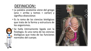Anatomia Clase 1 Generalidades Precisas Pptx