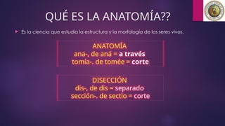 ANATOMIA Clase 1_GENERALIDADES-PIEL_AULAK (1).pptx