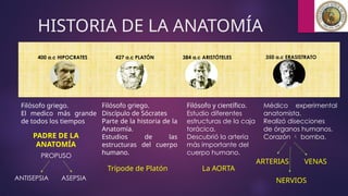 ANATOMIA Clase 1_GENERALIDADES-PIEL_AULAK (1).pptx