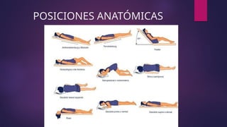 ANATOMIA Clase 1_GENERALIDADES-PIEL_AULAK (1).pptx