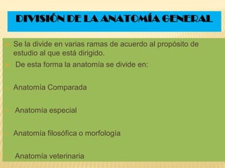 Anatomia clase para estudiantes 2 Actual 50p (2).pdf