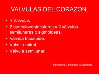 ANATOMIA CLINICA DEL CORAZÓN. | PPT