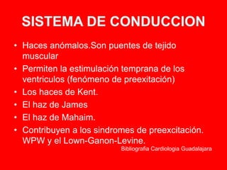 ANATOMIA CLINICA DEL CORAZÓN. | PPT