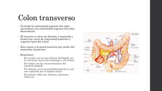 Anatomia colon. recto y ano | PPTX