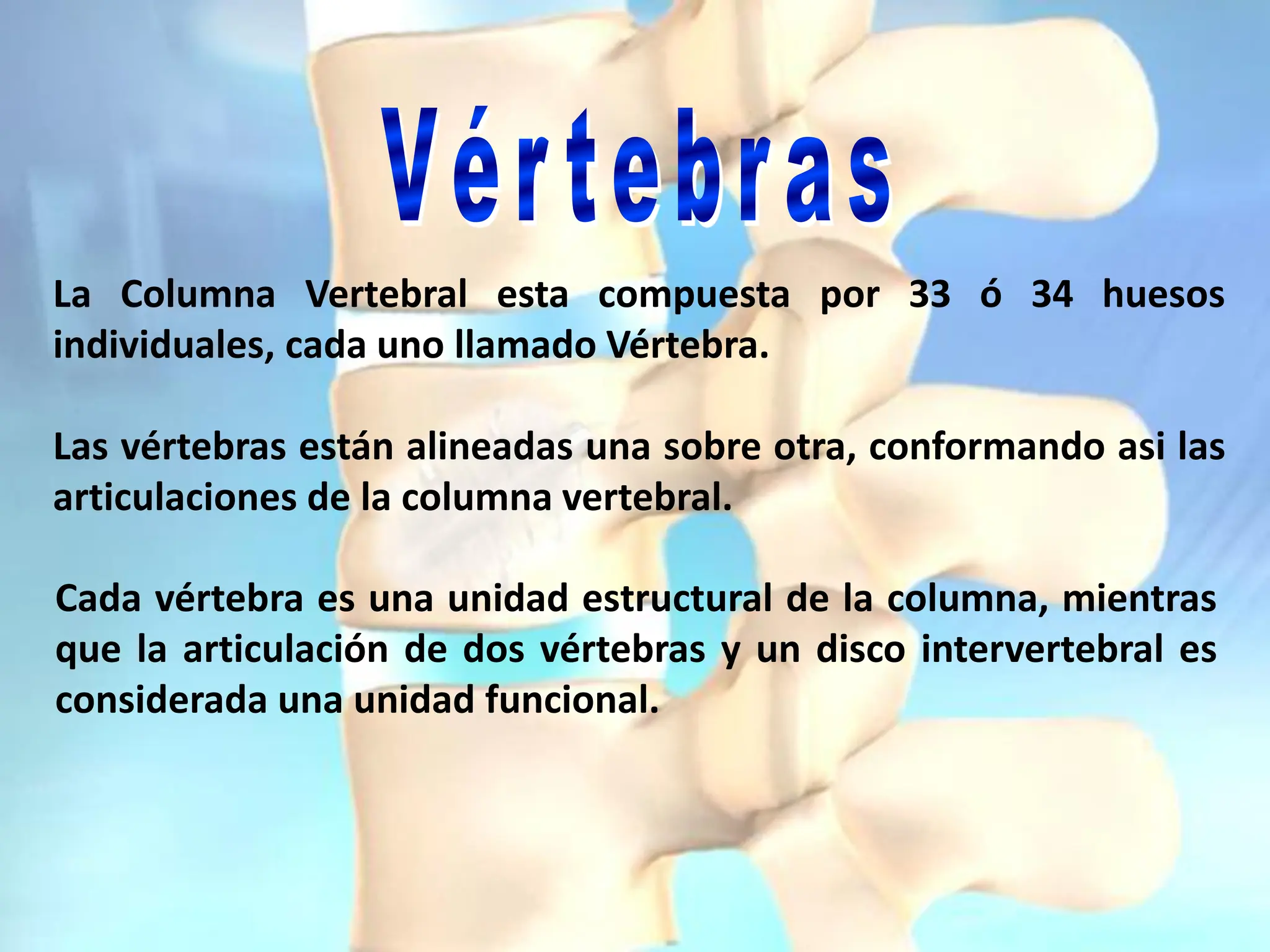Anatomia RESUMEN DE LA Columna VERTEBRAL.pdf