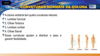 Anatomia_Coluna_Vertebral_Atualizado.pptx