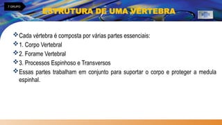 Anatomia_Coluna_Vertebral_Atualizado.pptx