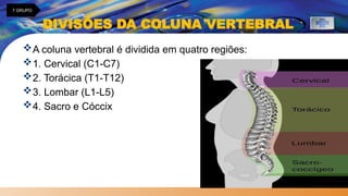 Anatomia_Coluna_Vertebral_Atualizado.pptx