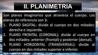 ANATOMIA COMPARADA - CLASE 2 secundaria.pptx