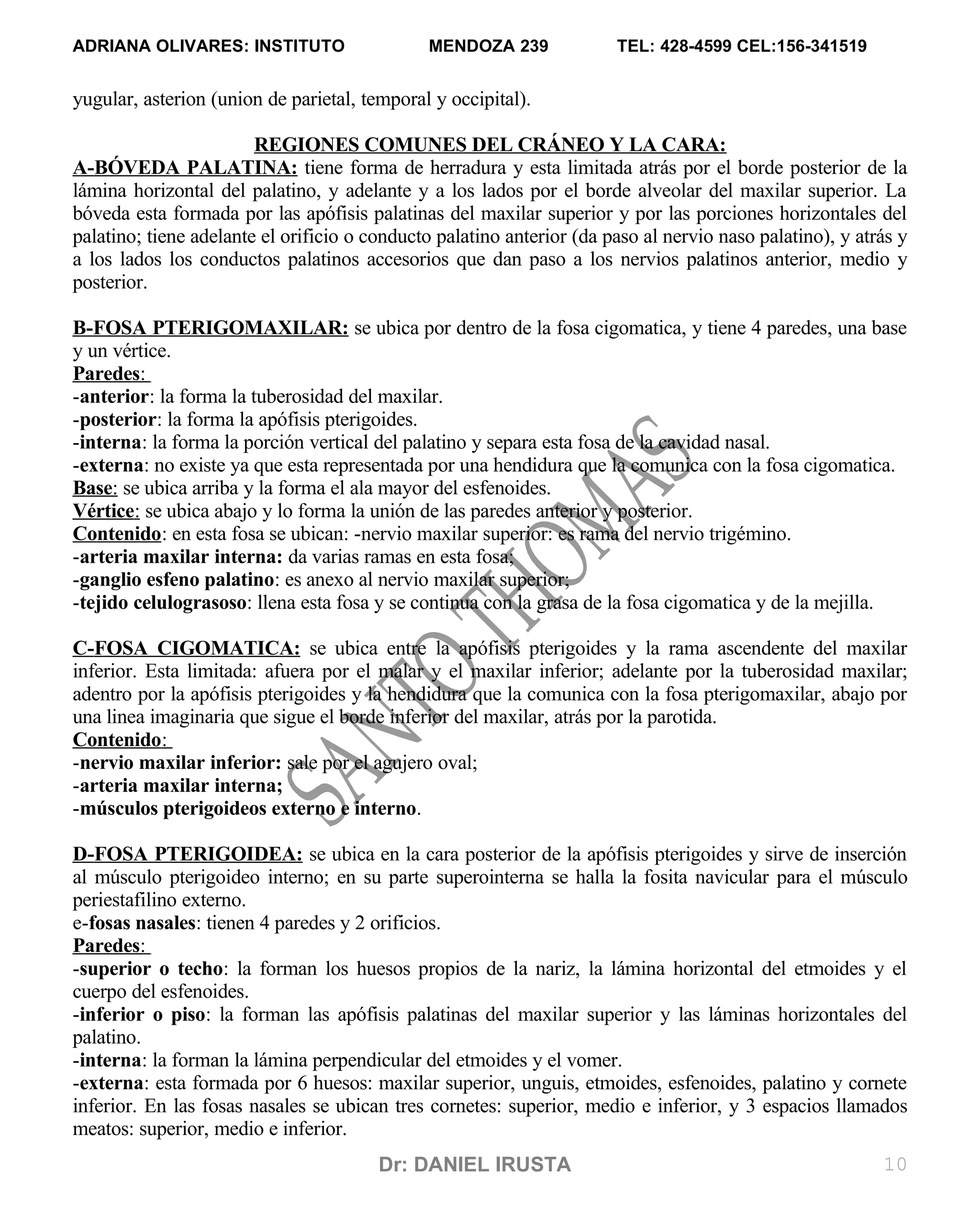 Anatomia Completo Pdf
