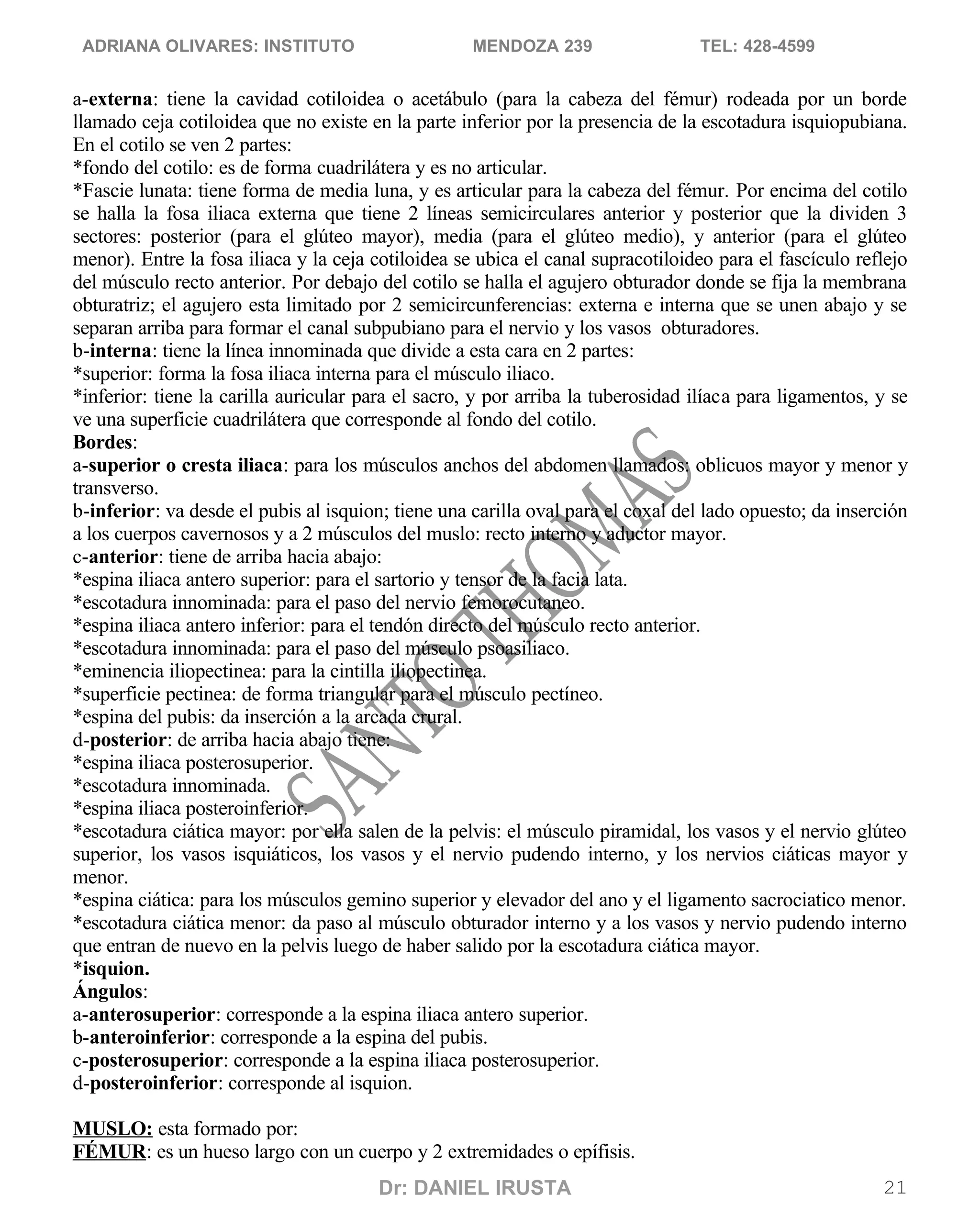 Anatomia Completo Pdf