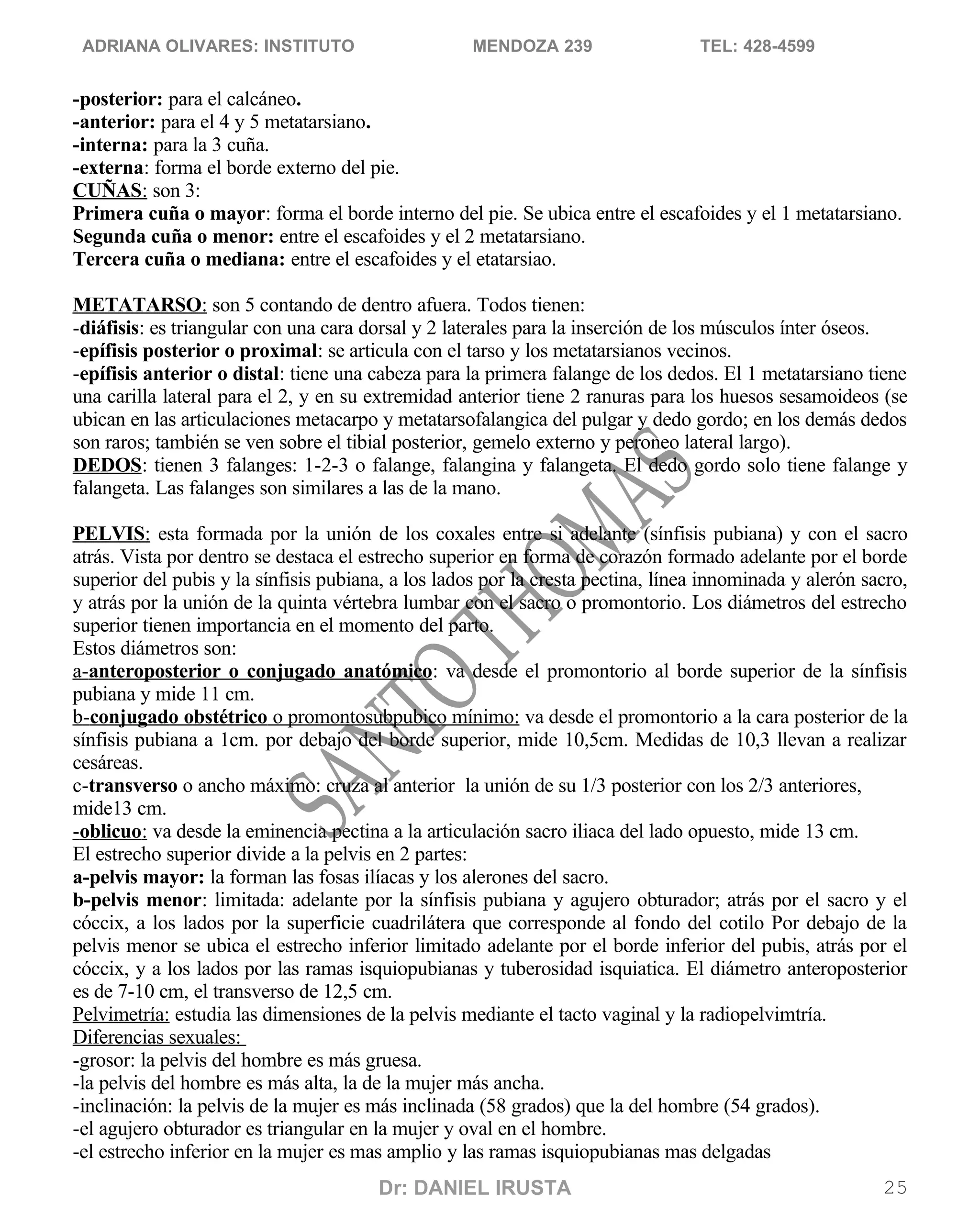 Anatomia Completo Pdf