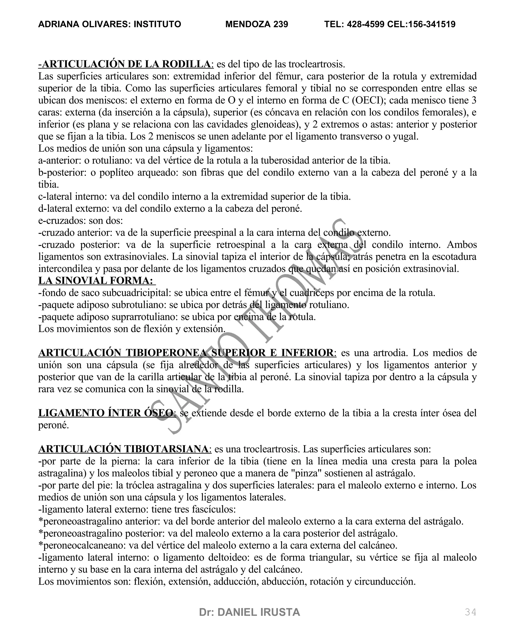Anatomia Completo Pdf