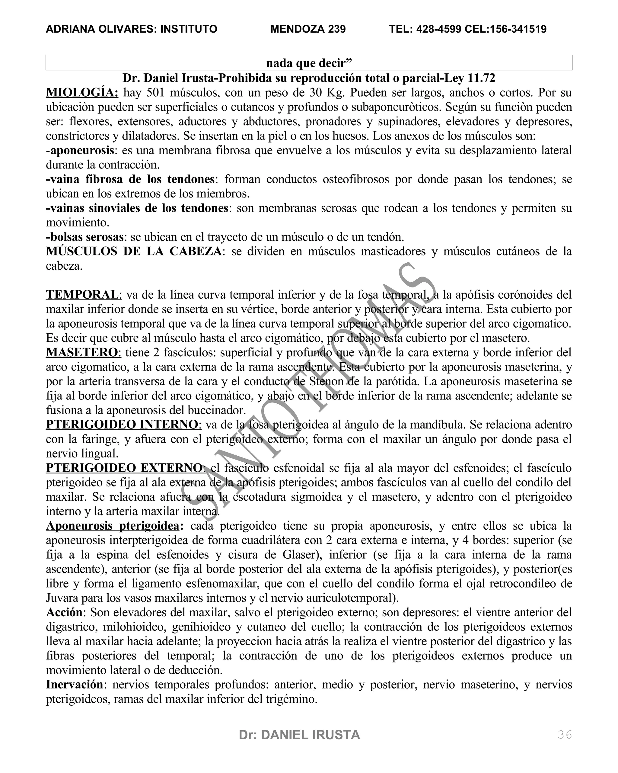 Anatomia Completo Pdf
