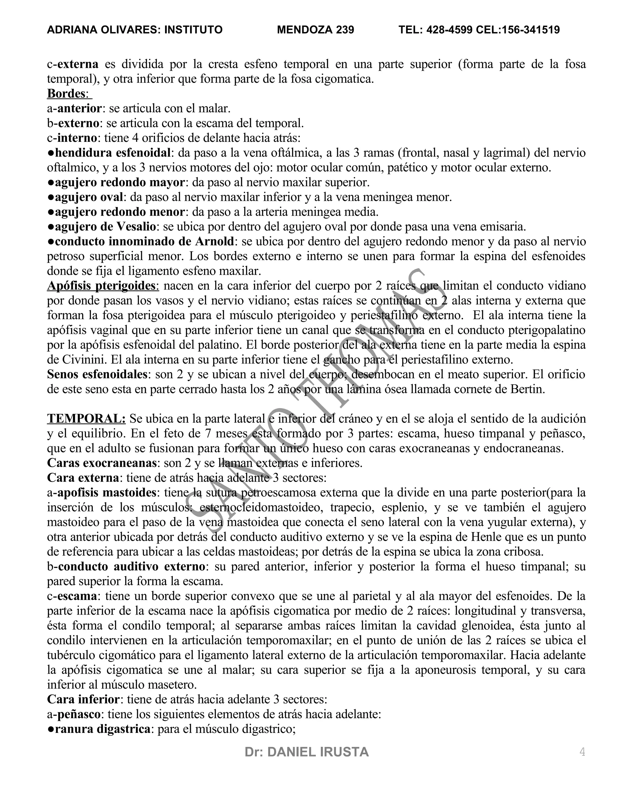 Anatomia Completo Pdf