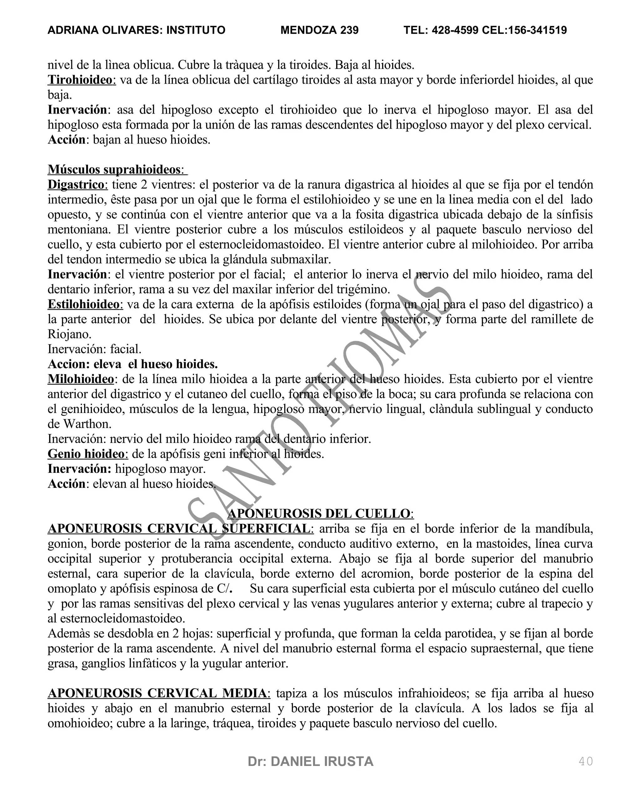 Anatomia Completo Pdf