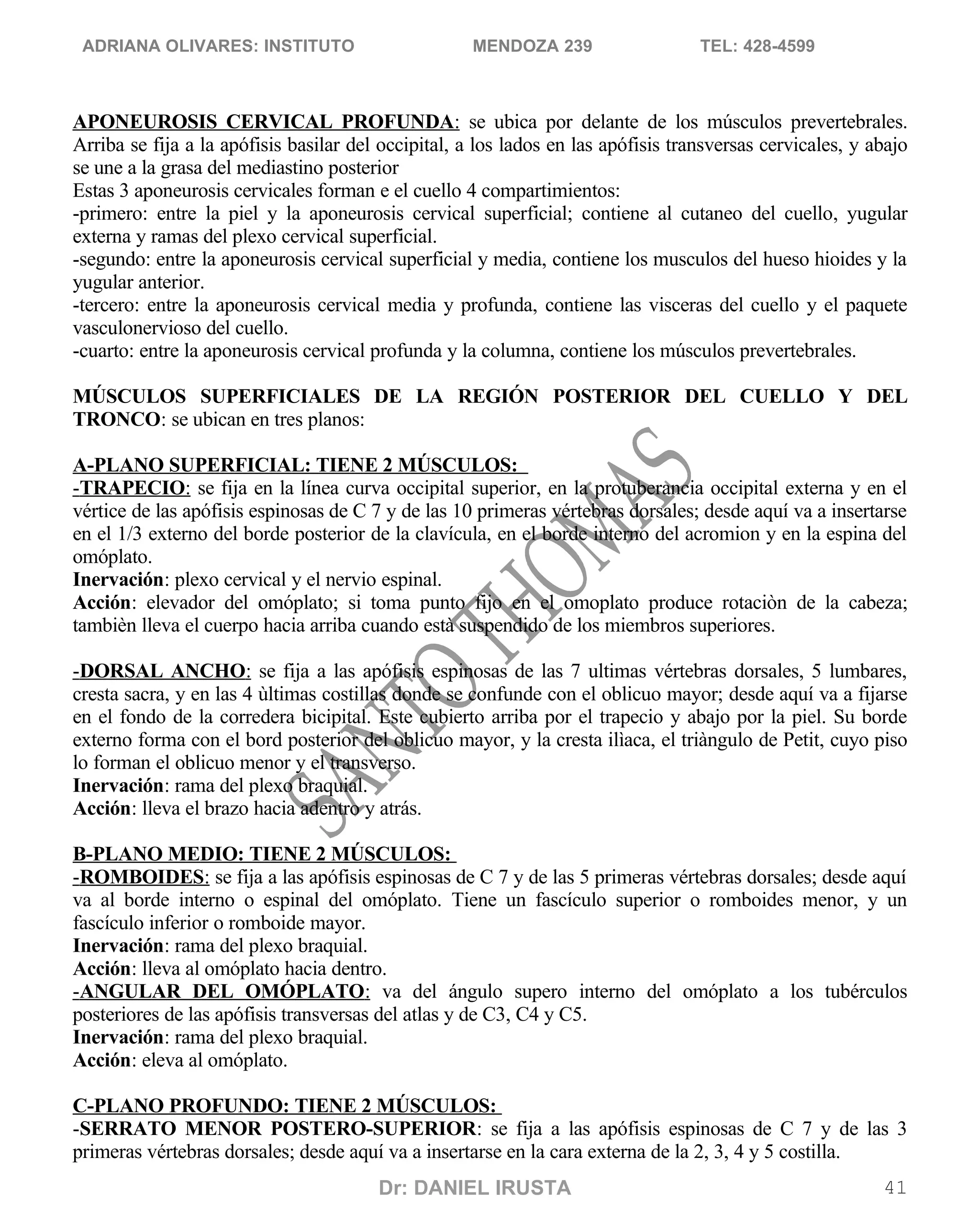Anatomia Completo Pdf