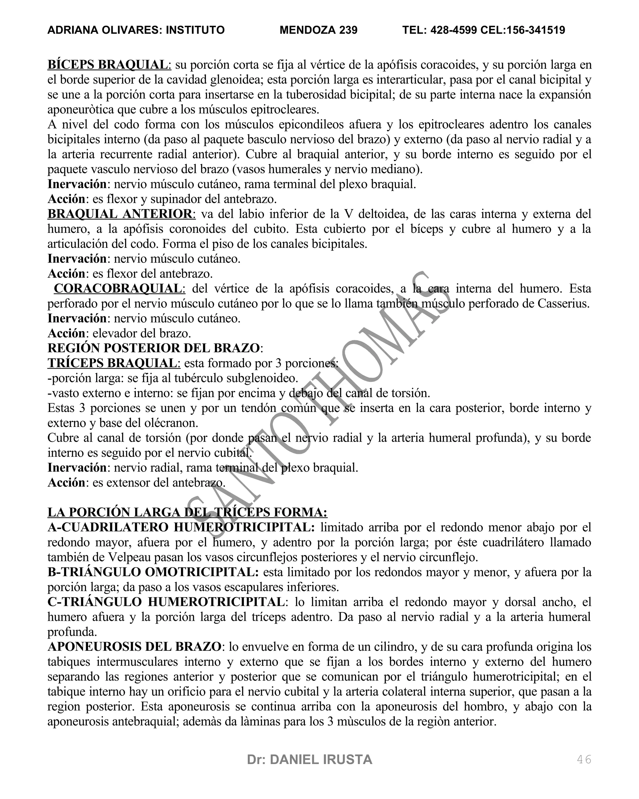 Anatomia Completo Pdf