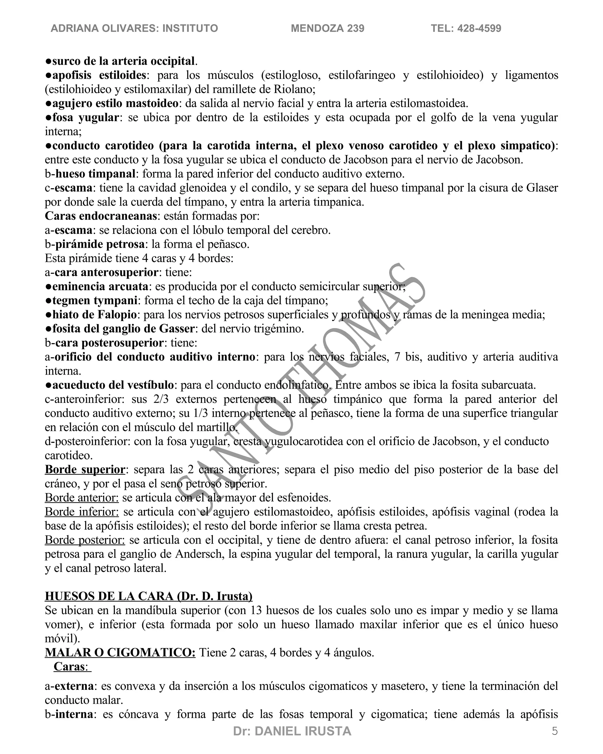 Anatomia Completo Pdf