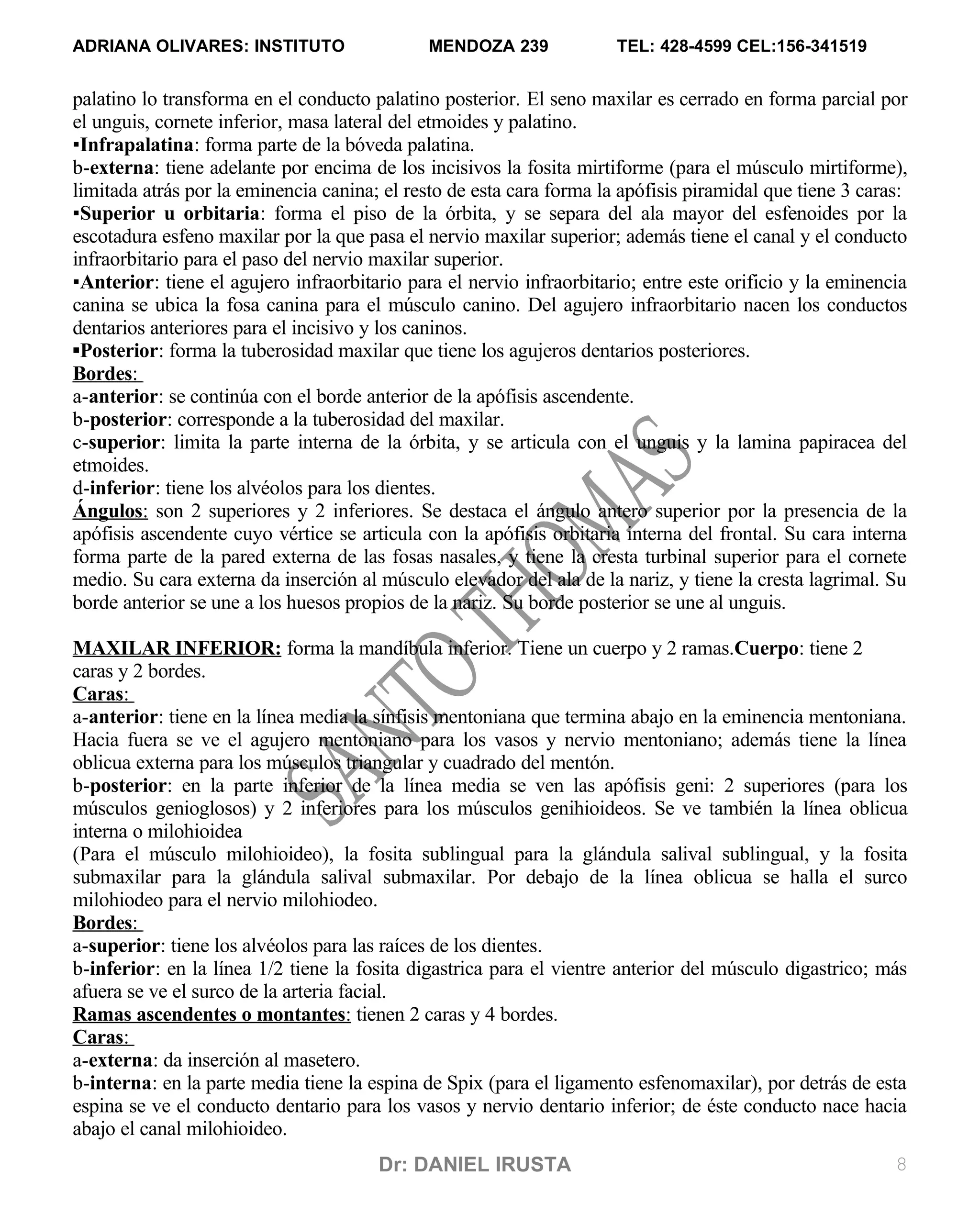 Anatomia Completo Pdf