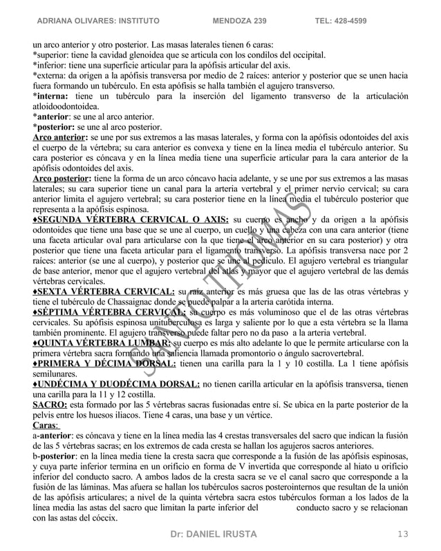 Anatomia Completo Doc
