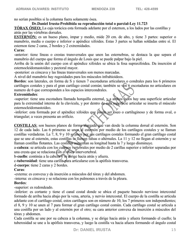 Anatomia Completo Doc