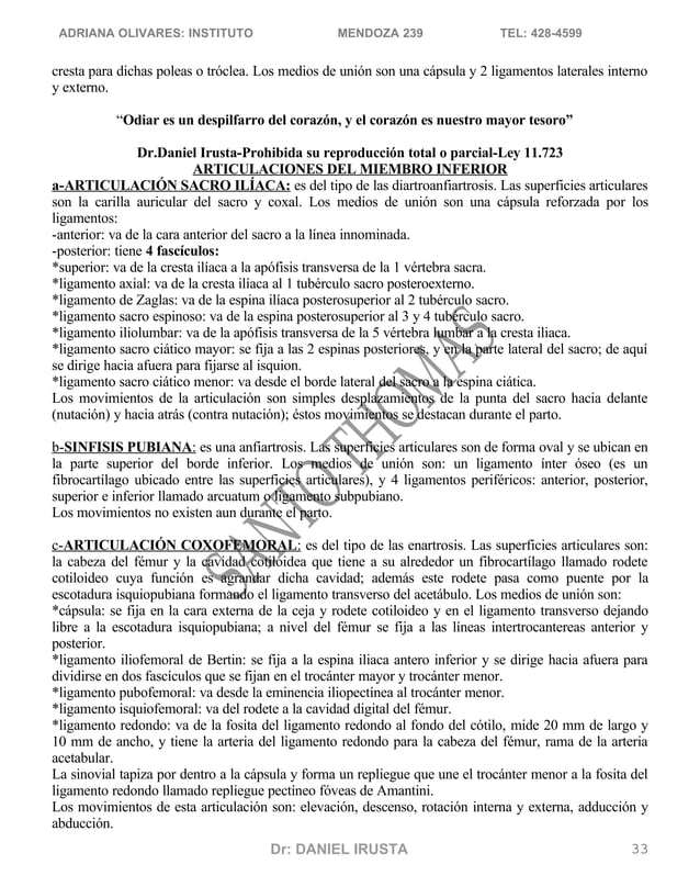Anatomia Completo Doc