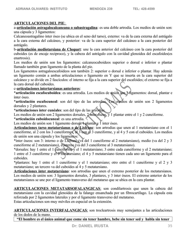 Anatomia Completo Doc