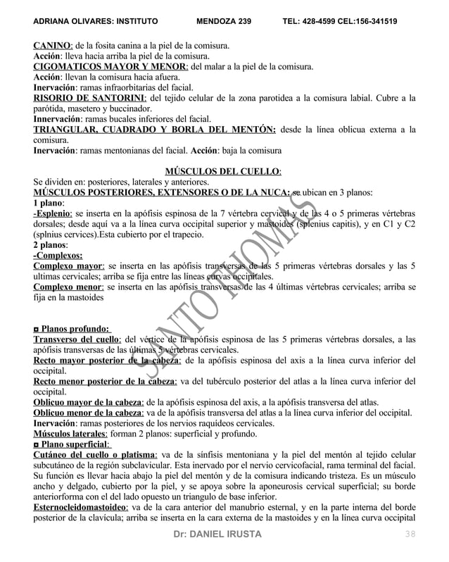 Anatomia Completo Doc