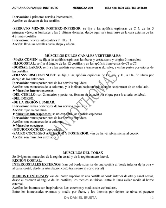 Anatomia Completo Doc
