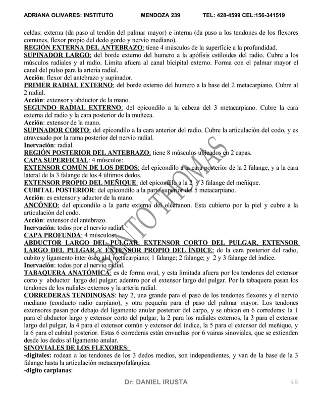 Anatomia Completo Doc