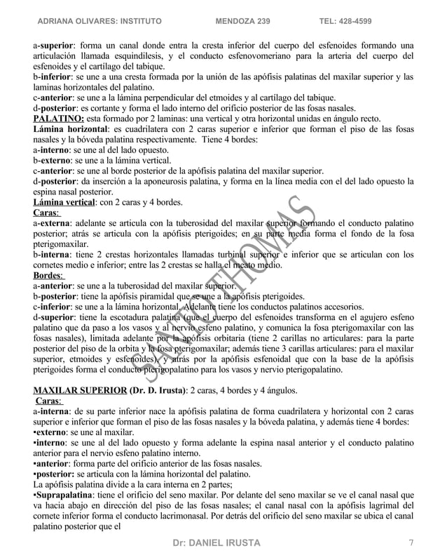 Anatomia Completo Doc