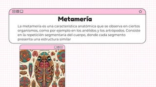 Anatomia, conceptos basicos y fácil de aprender | PDF