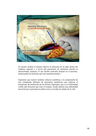 Anatomia Conducto Inguinal | PDF