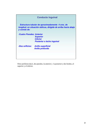 Anatomia Conducto Inguinal | PDF