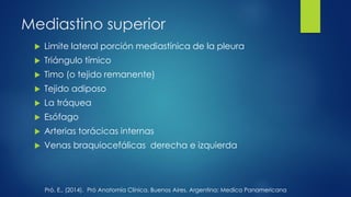 Anatomia corazon | PPT