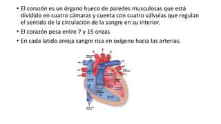 Anatomía del corazón | PPTX