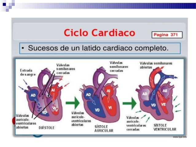 ATENCION PRE HOSPITALARIA: Cuestionario III