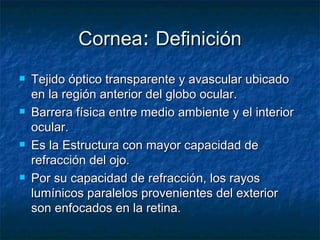 Anatomia corneal | PPT