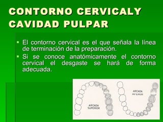Anatomia coronaria | PPT