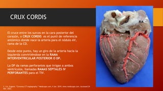 ANATOMÍA CORONARIA CARDIACA (IMAGENES).pptx