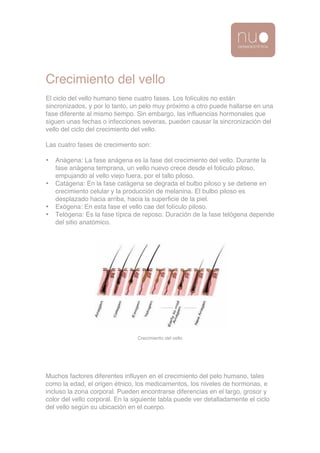 Anatomia del Vello | PDF