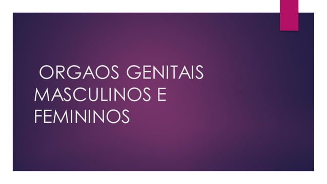 ANATOMIA órgãos genitais