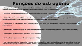 ANATOMIA órgãos genitais