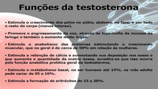 ANATOMIA órgãos genitais