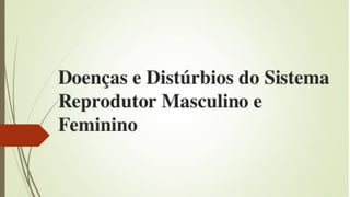 ANATOMIA órgãos genitais