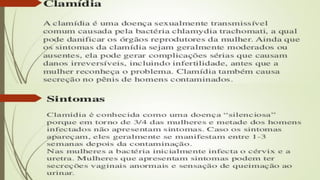 ANATOMIA órgãos genitais | PPT