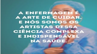 ANATOMIA órgãos genitais