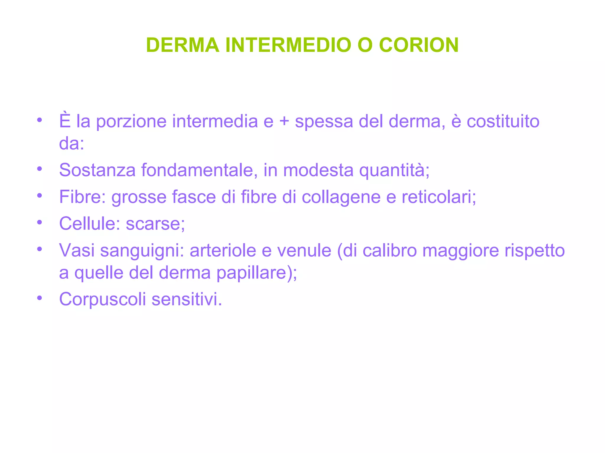 Anatomia cutanea | PPT